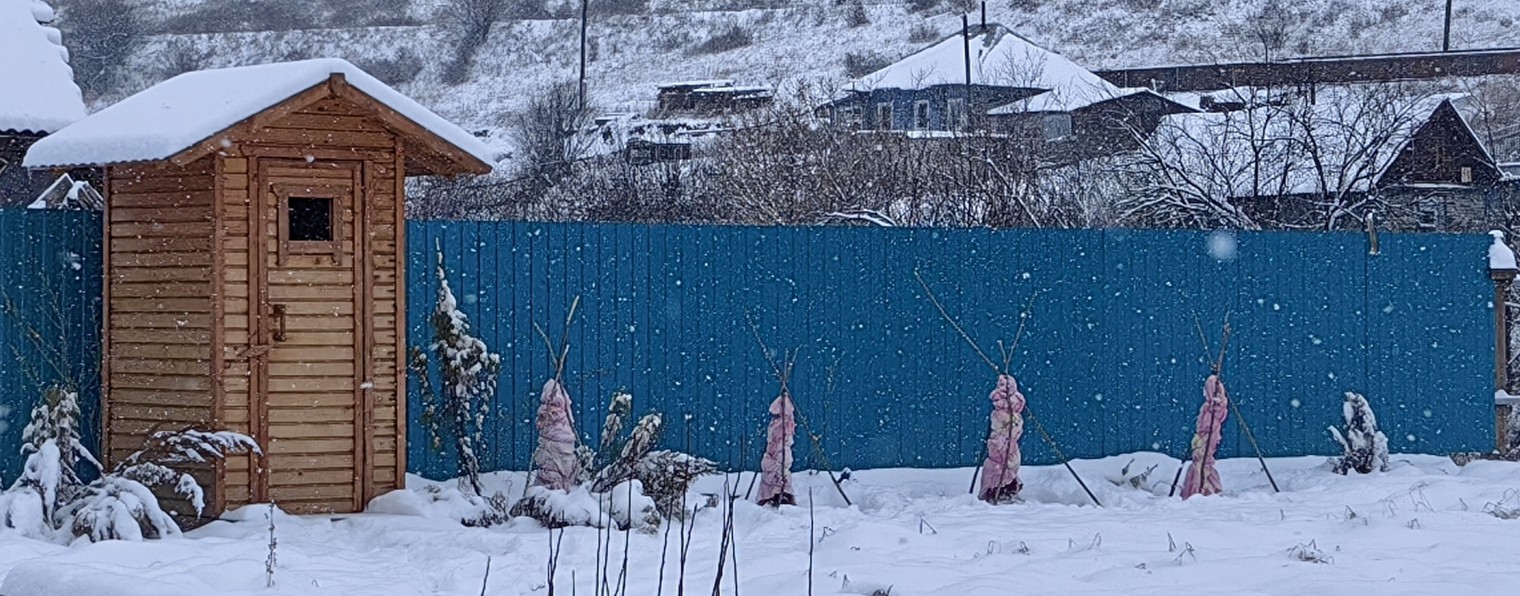 Виктор Кочергин