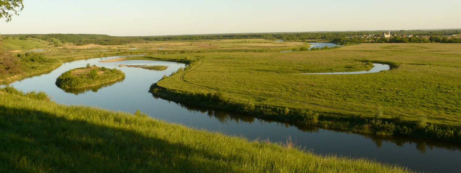 Ярослав и Я