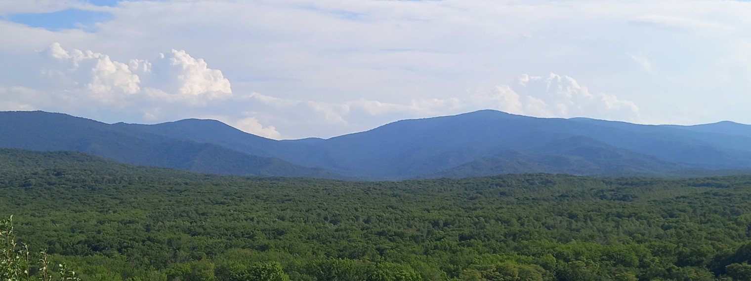 максим шумар