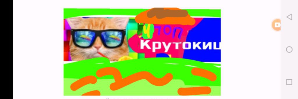 Крутокиц
