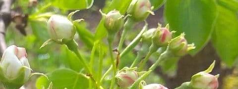 Интересно о природе