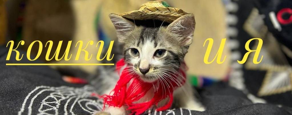 Мексиканская кошка