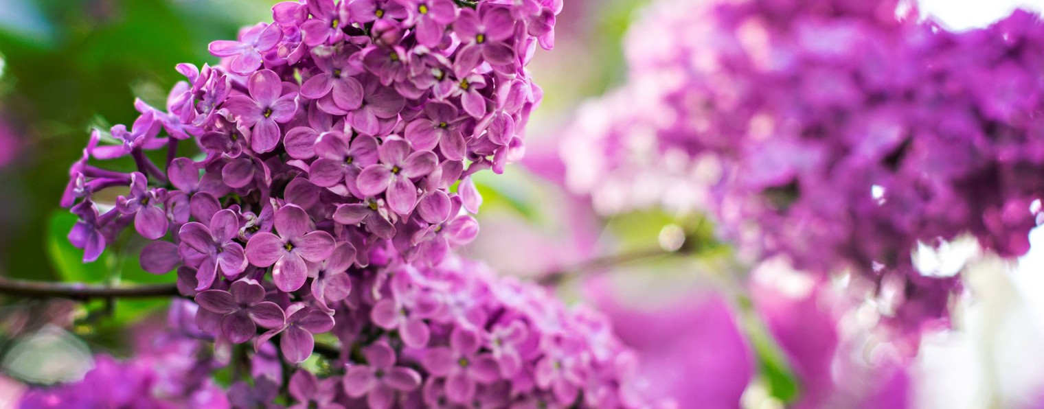 Ольга Турчина