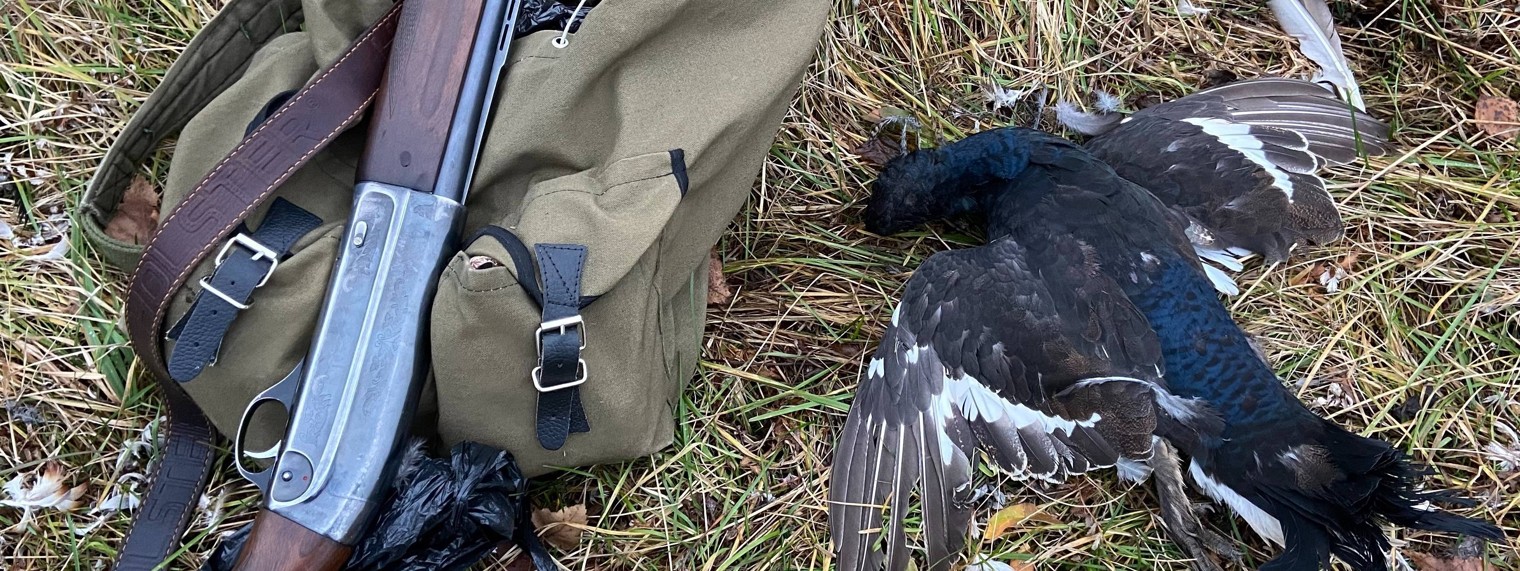 Охота и рыбалка(37rus)