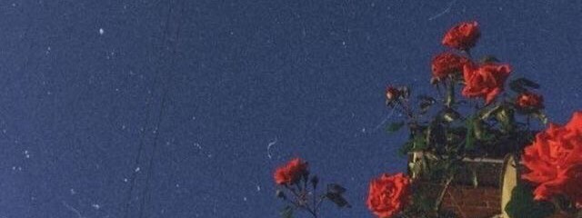 Просто Дашик