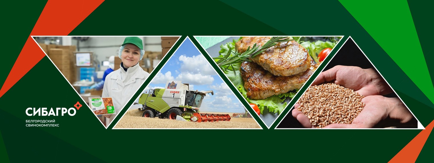 СИБАГРО Белгородский свинокомплекс