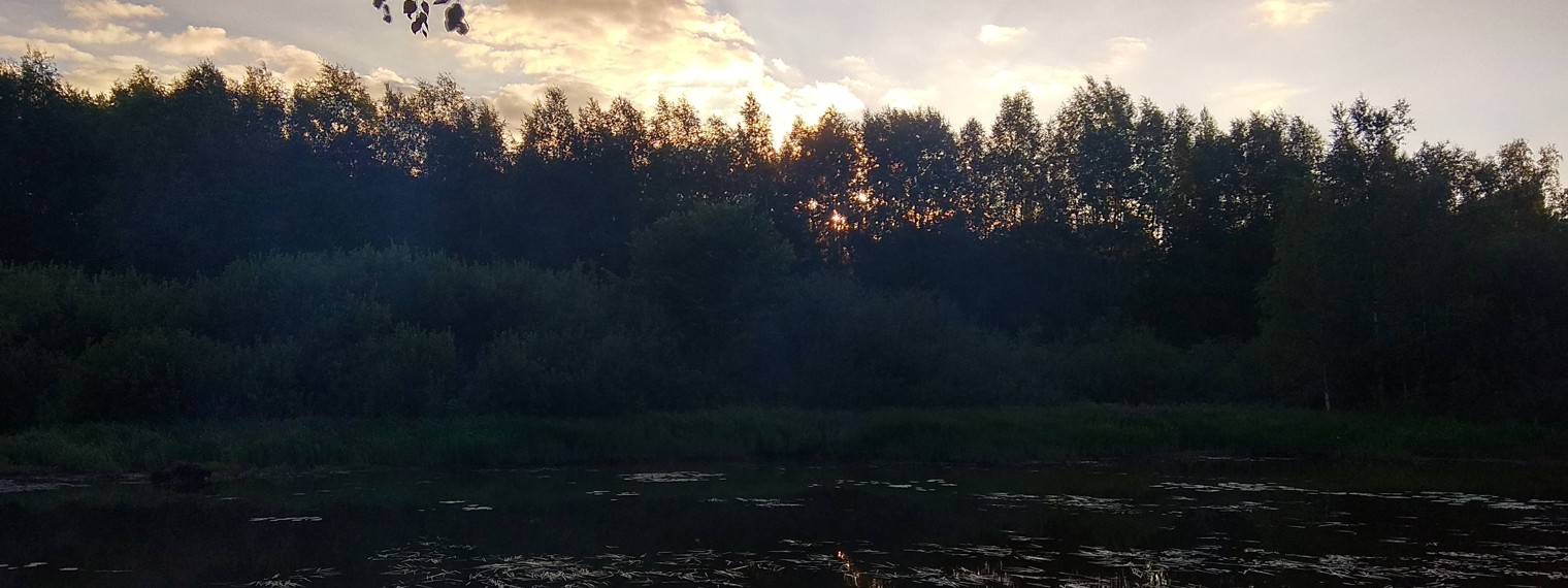 ОДИН В ЛЕСУ