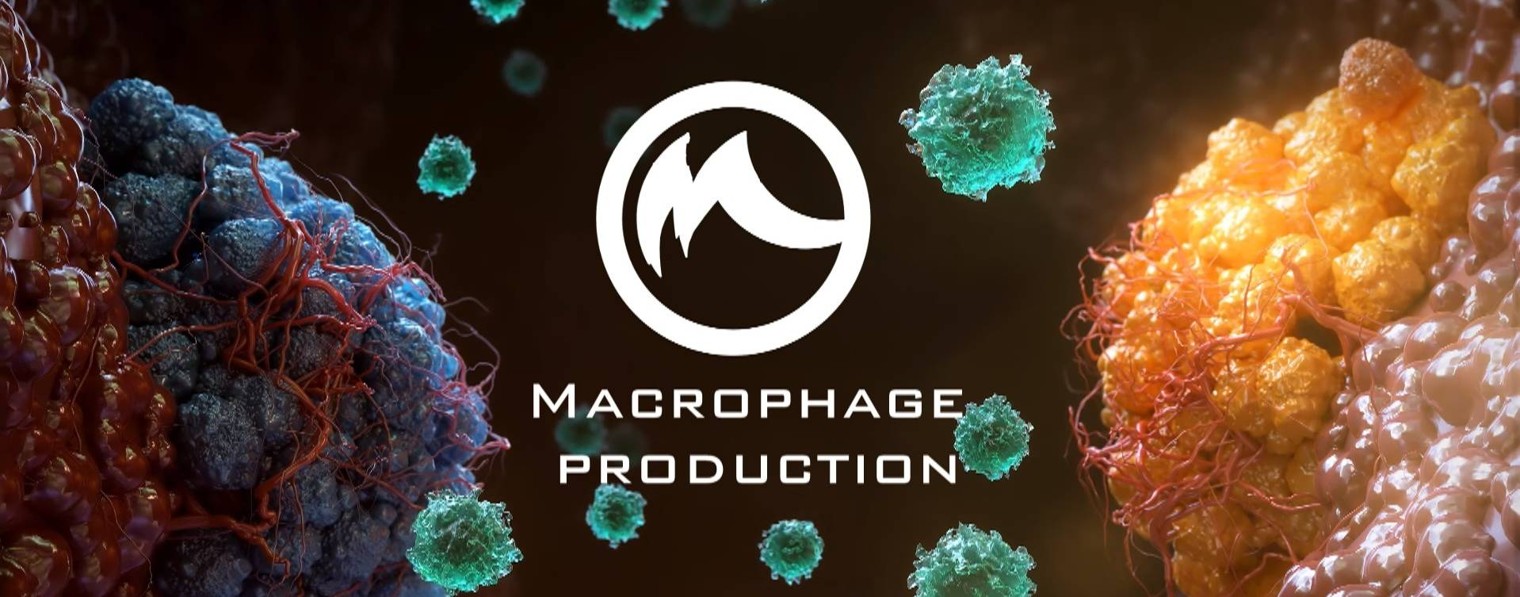 МАКРОФАГ ПРОДАКШН