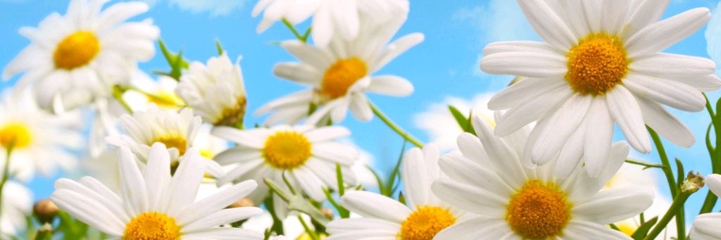 Ольга Матросова. Украшения ручной работы.