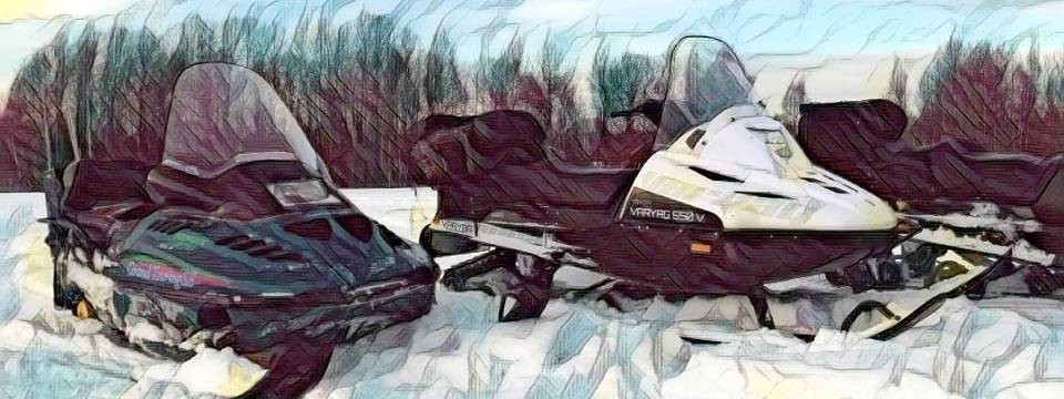 Сибирские бродяги