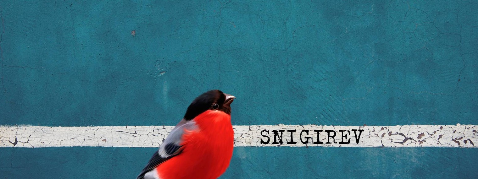 Snigirev Play