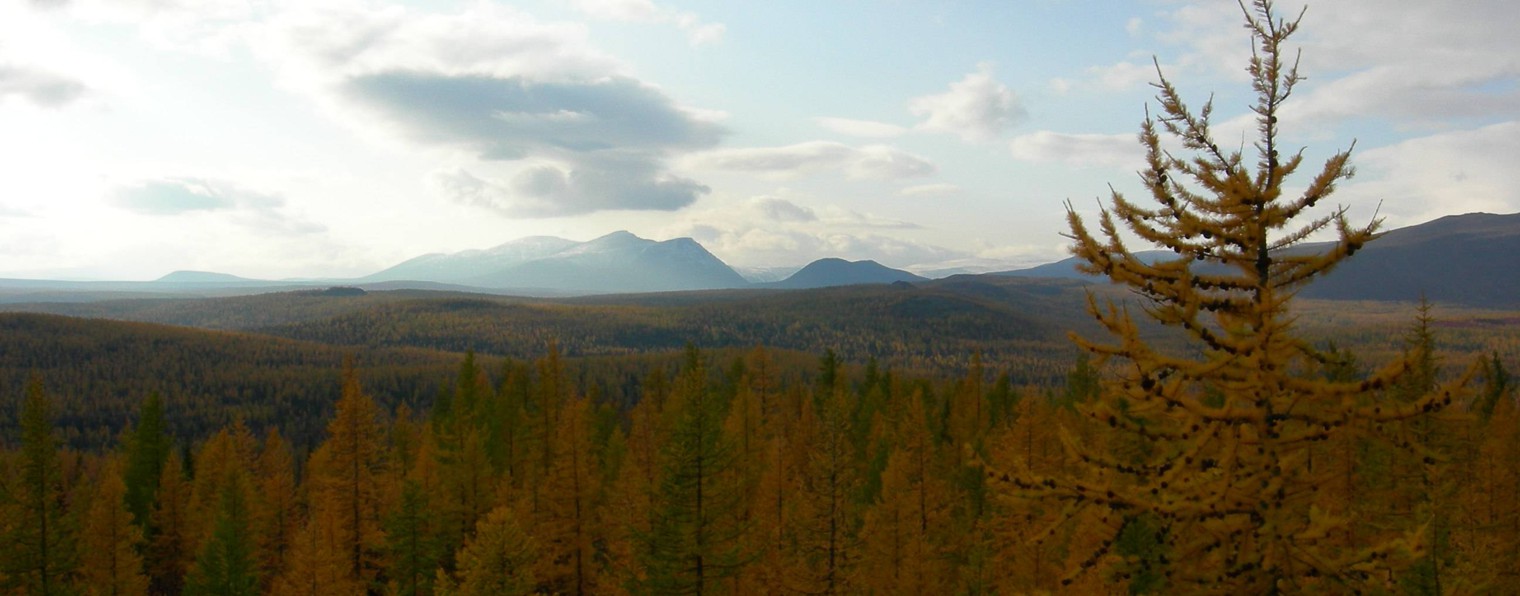 священник Кирилл Марковский