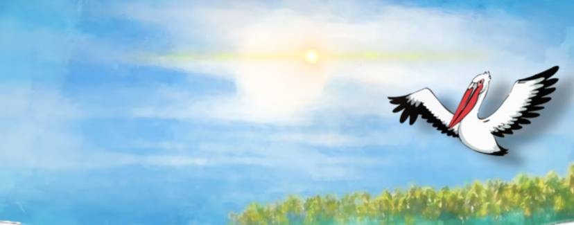 Родительский  университет