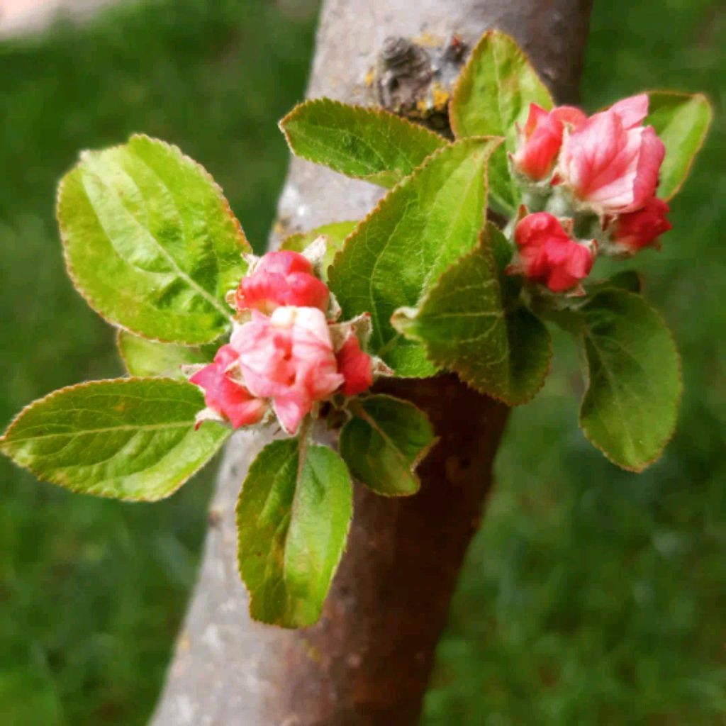 НасТроЕнное в пространстве