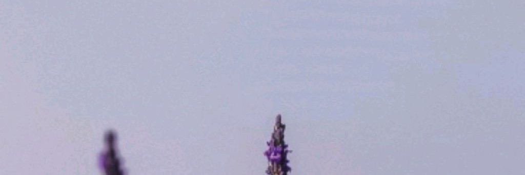 Кристина Суслик