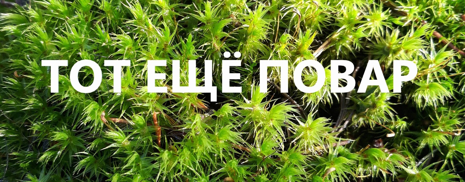 ТОТ ЕЩЁ ПОВАР