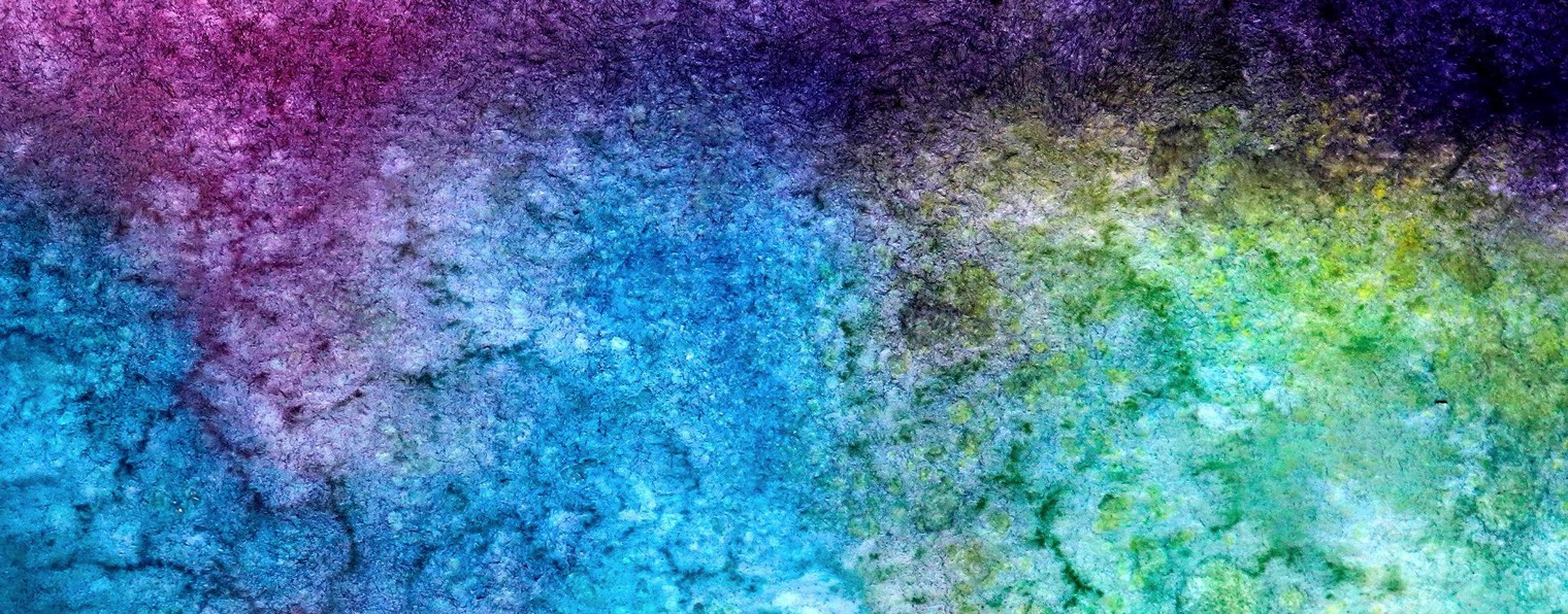 Волшебный Лось | Magic Moose