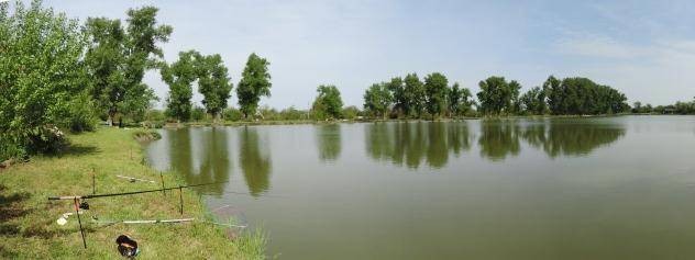 Живу в Георгиевске