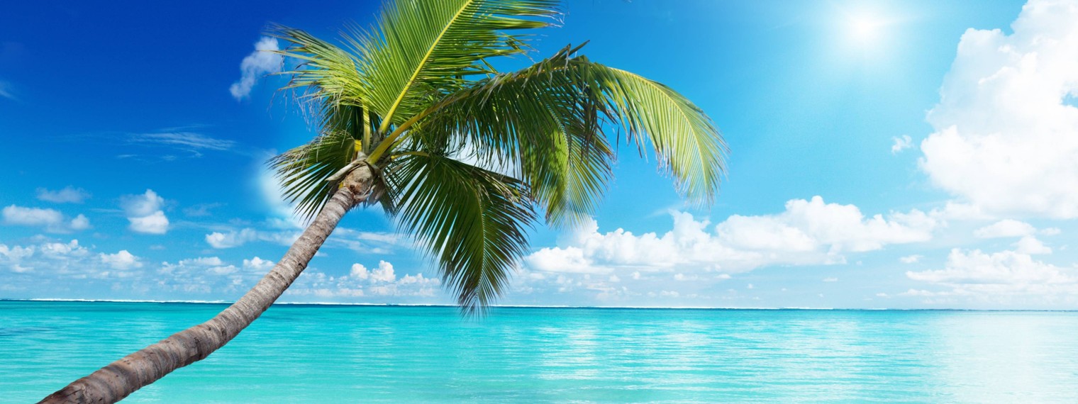 Портал Ильича