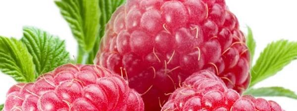 Катеринка-малинка