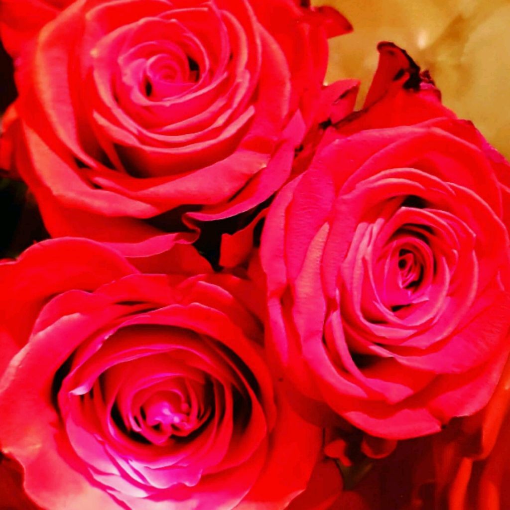 Галина Мареева