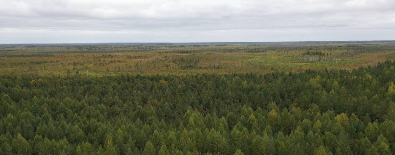Национальный парк|Нижегородское Поволжье