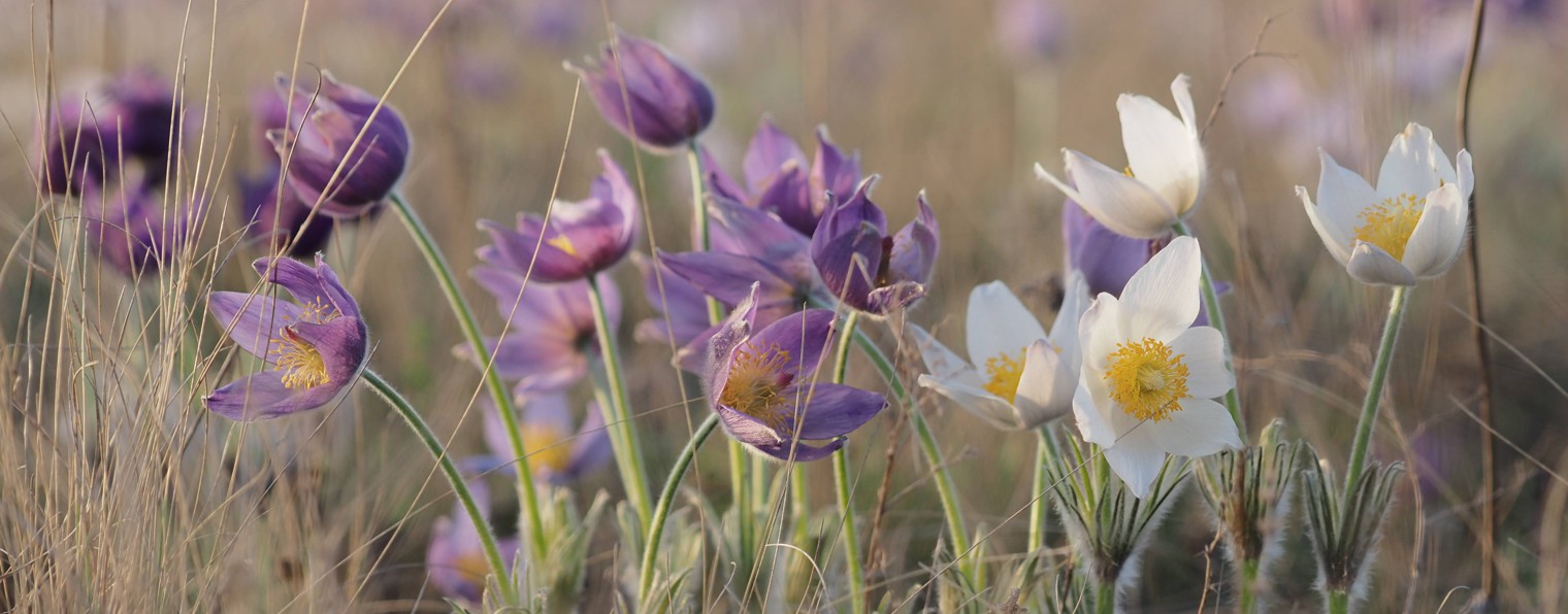 Радик Казакбаев