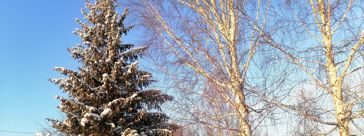 Наташа. Обо всем и ни о чём.