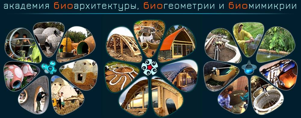 BioArc | Бюро ПриродоЗодчества