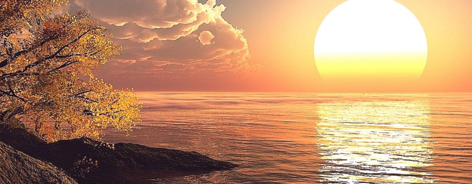 Светлана Сорокина