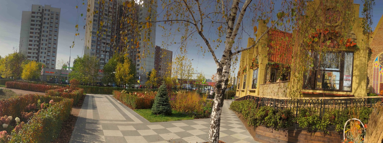 Совет депутатов муниципального округа Новокосино