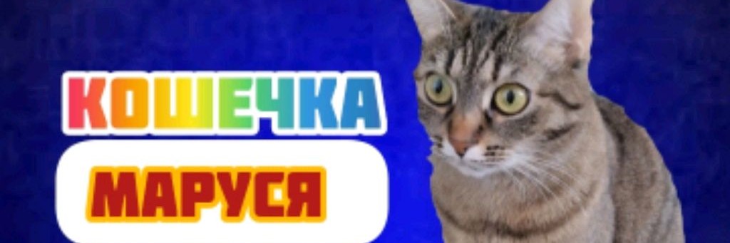 КОШЕЧКА МАРУСЯ