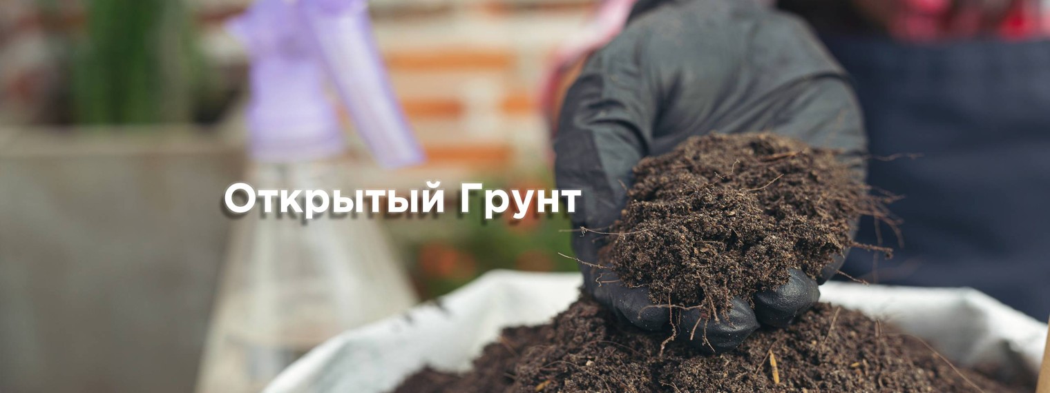 Открытый Грунт - Сад Огород