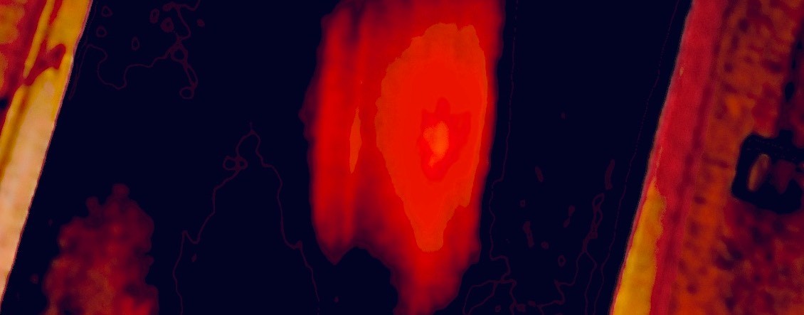 Мандаринус