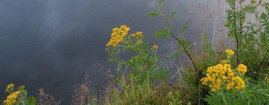 Доктор Жевачевский многомерная медицина