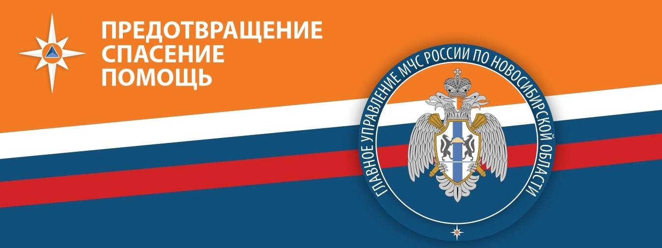 ГУ МЧС России по Новосибирской области
