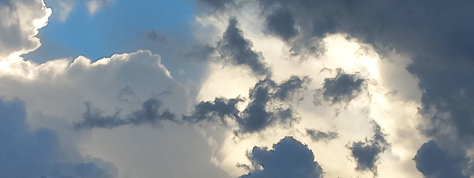 Просто Наблюдатель