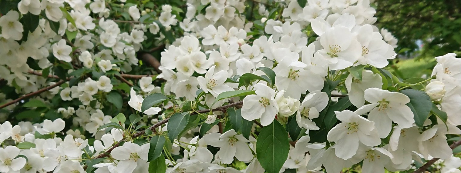 MANIFESTA 🪷 музыка, путешествия, арт и интересное