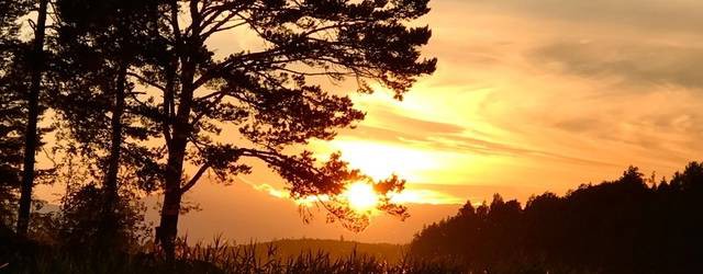 Светлана понемногу обо всём