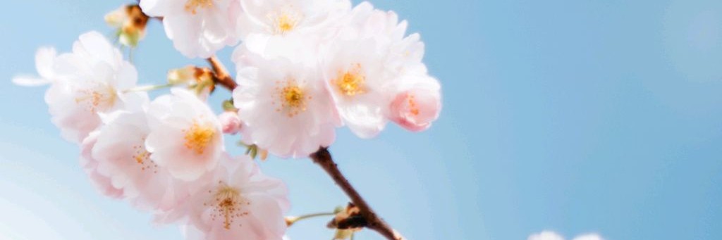 Правовая осень