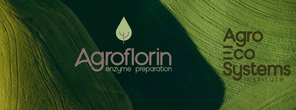Институт АгроЭкосистем / Agroecosystems Institute