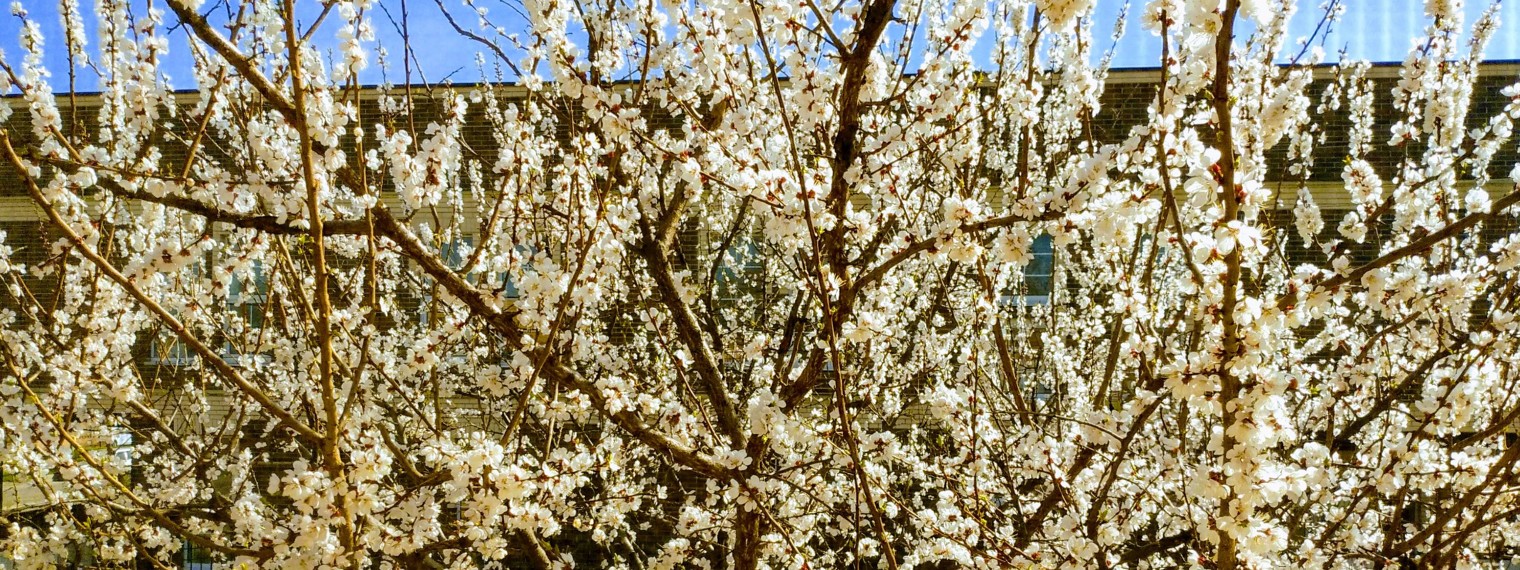 На злобу дня