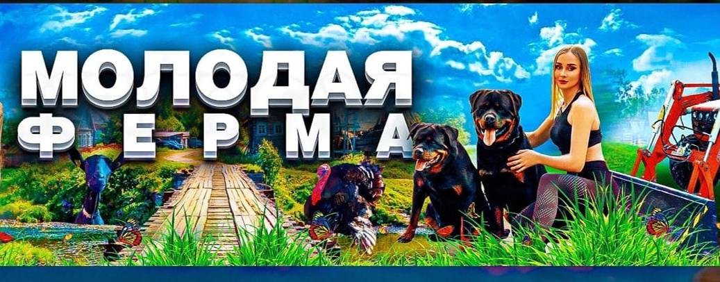 Молодая ферма