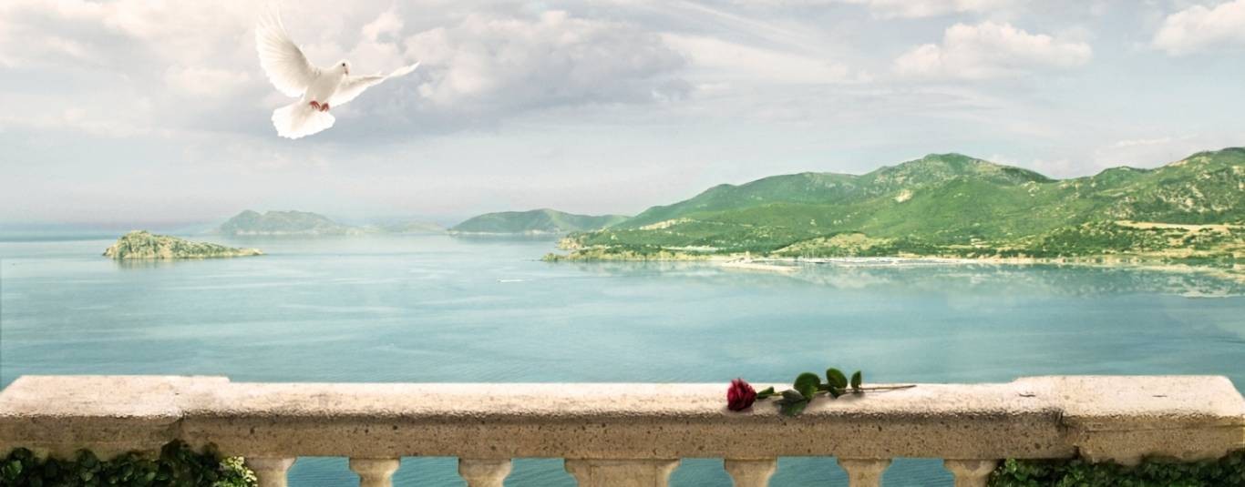 Окно в мир ТАРО