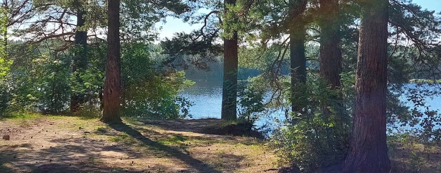 Дмитрий Гурстиев