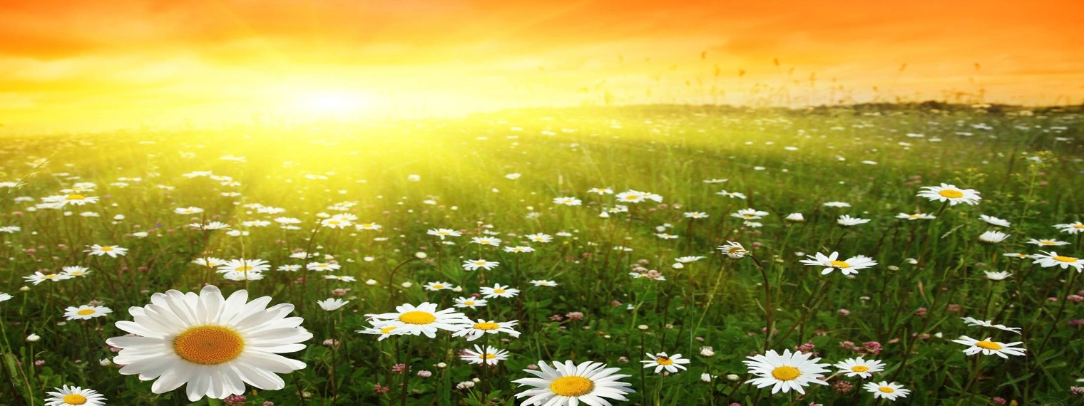 СОЛНЕЧНЫЙ ЛУЧ