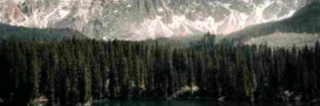 ❤️Любовь-морковь🥕