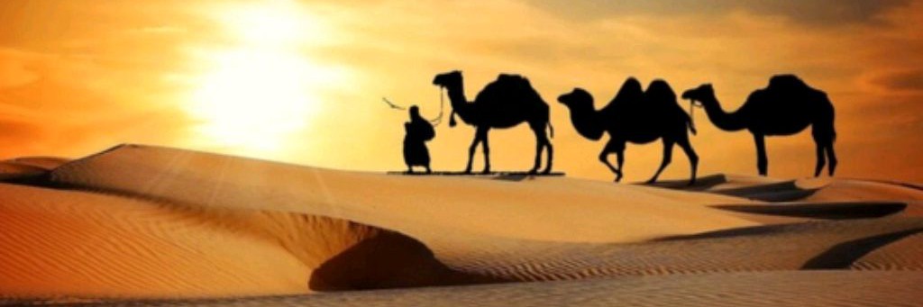 Веселые ребята 😀👍