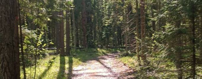 Лисичкин Хуторок