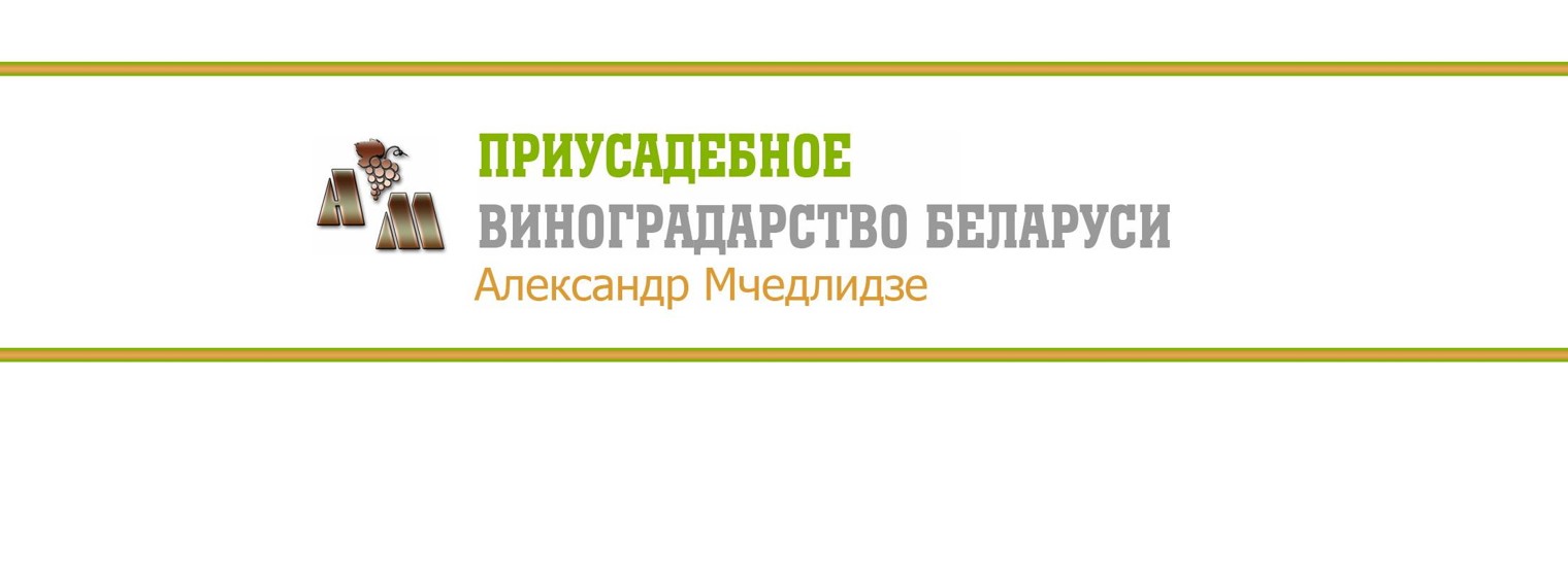 Александр Мчедлидзе